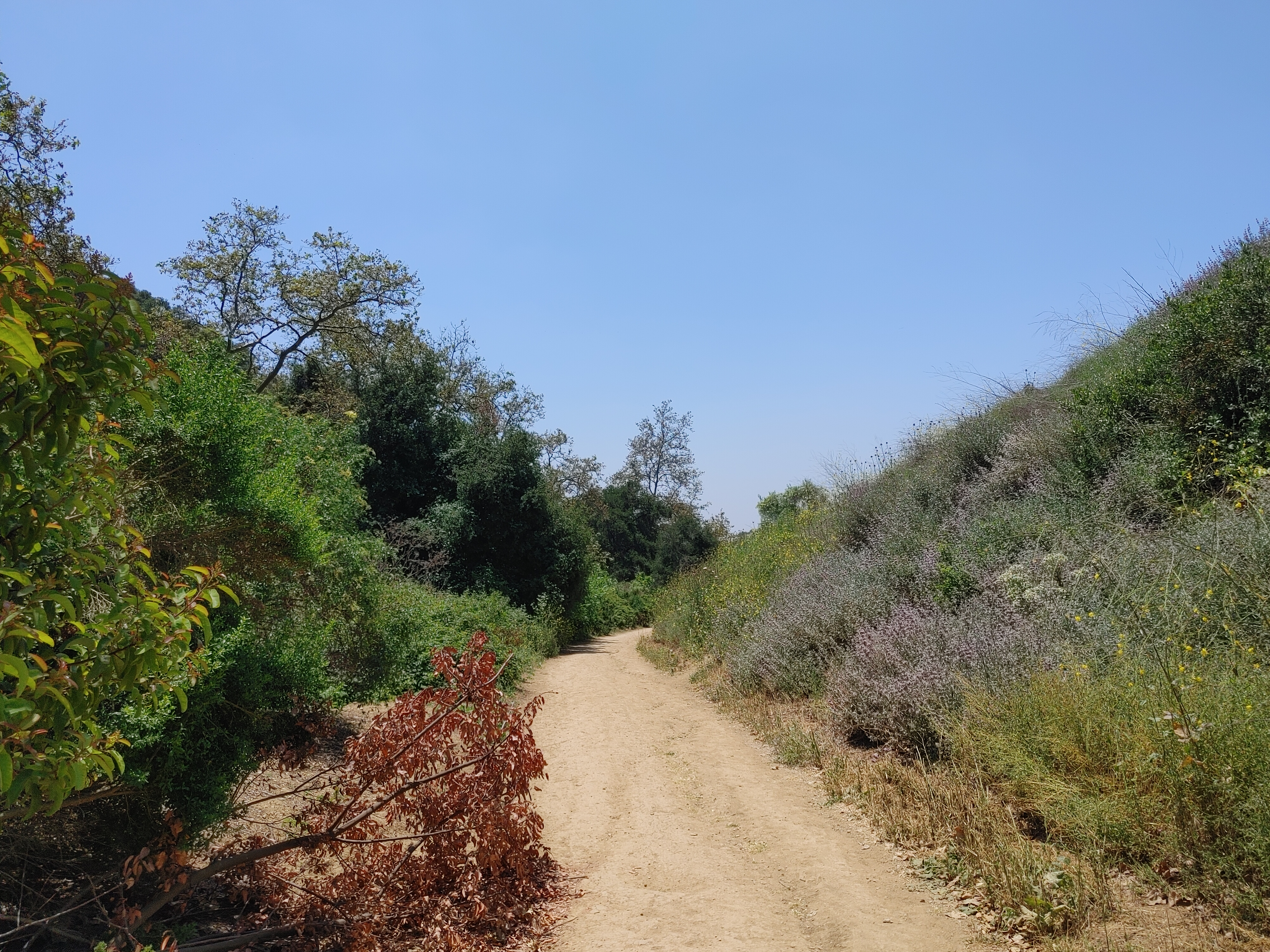 SGV Hikes and Bikes: Turnbull Canyon - Streetsblog Los Angeles