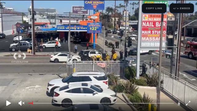 LAPD Was Crossing Against Red Light in Crash that Killed Pedestrian and ...