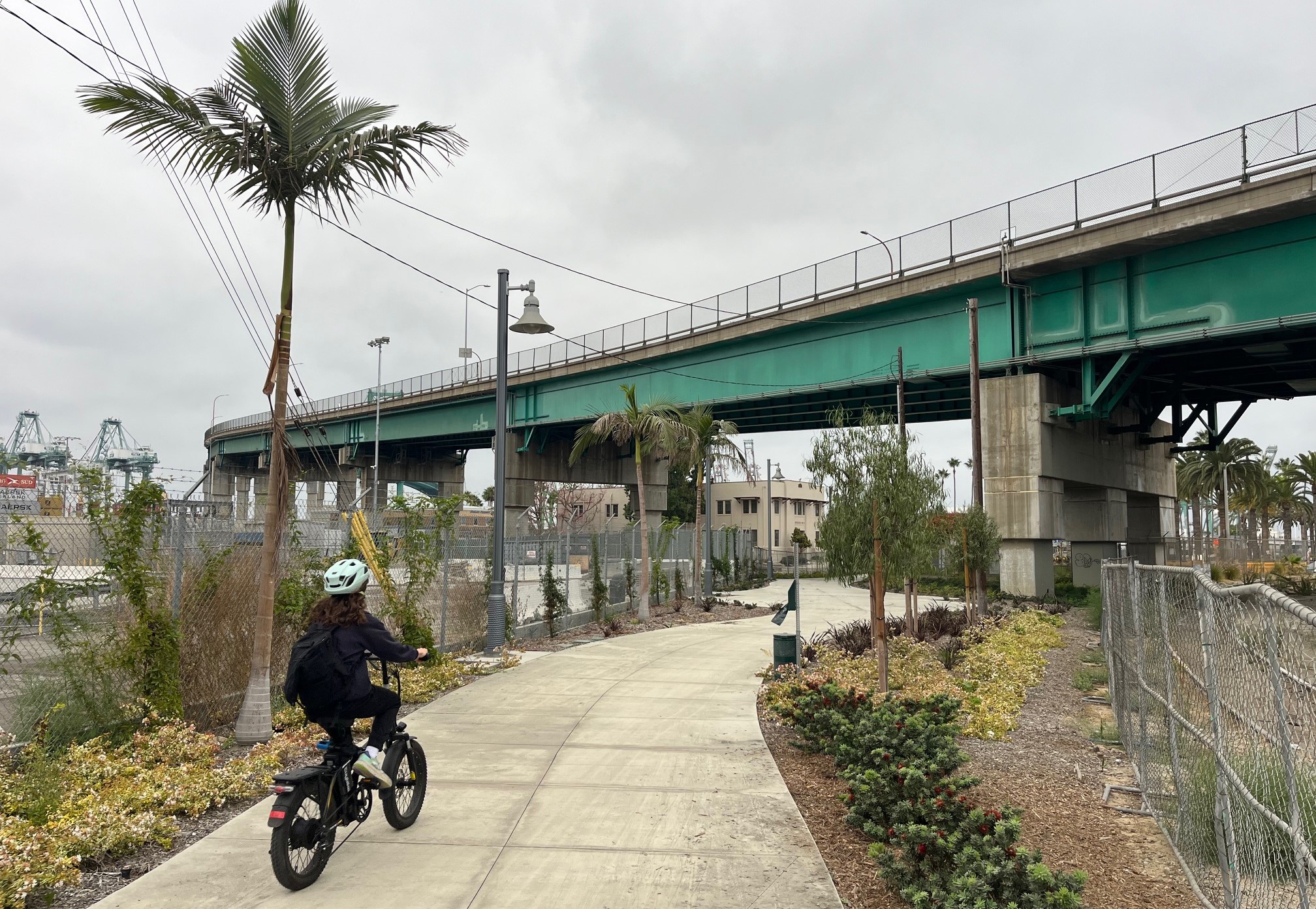Eyes on the Street: New San Pedro Front Street Walk/Bike Path ...